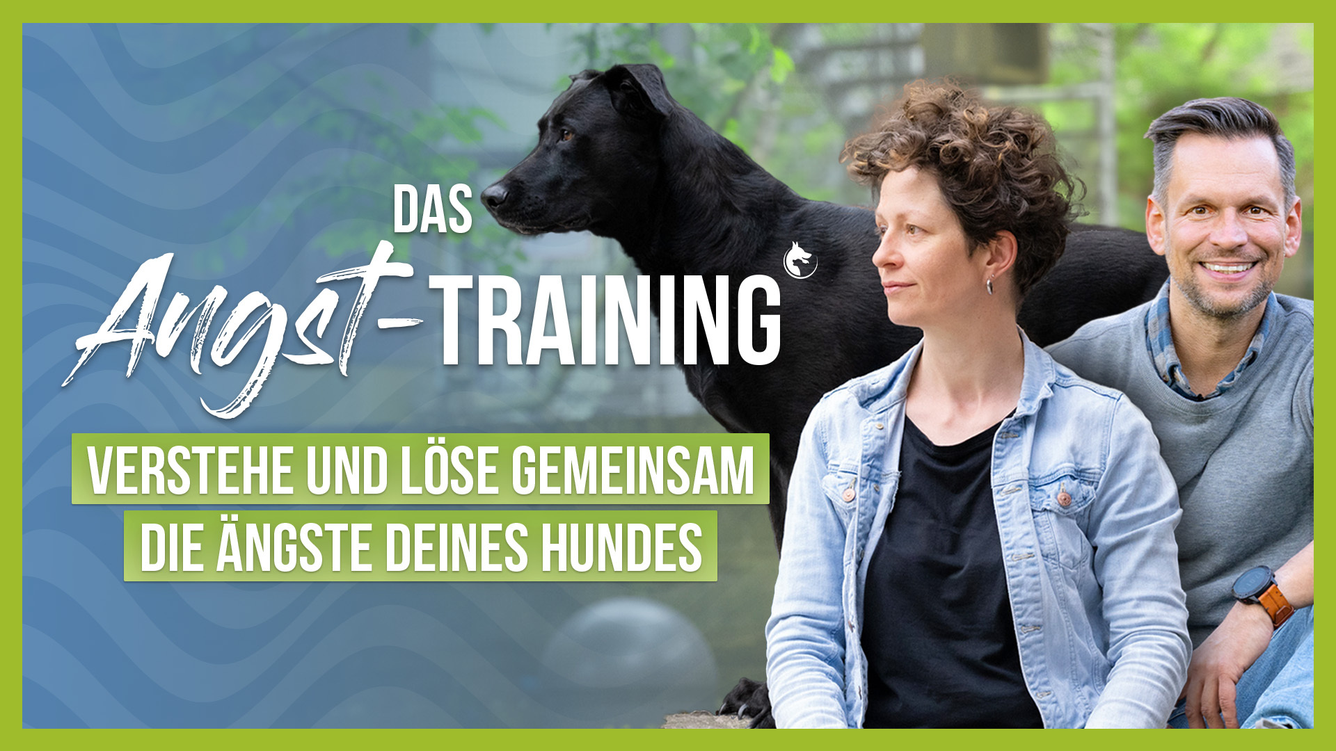 Das Angst-Training: Verstehe und löse gemeinsam die Ängste deines ...