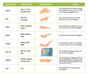 Hundekommandos & Handzeichen (inkl. Tabelle und Videos)