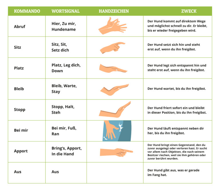 Hundekommandos & Handzeichen (inkl. Tabelle und Videos)