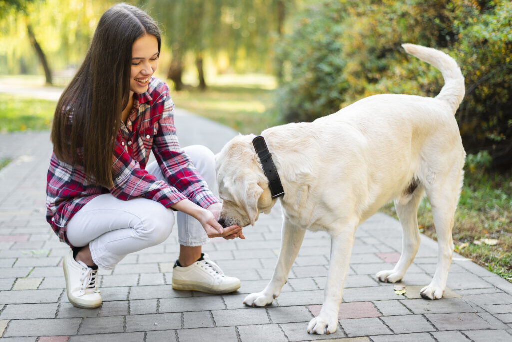 Hund bellt andere Hunde an: Das hilft (mit Video)