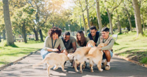 Hund sozialisieren: Tipps vom Hundetrainer (mit Video)