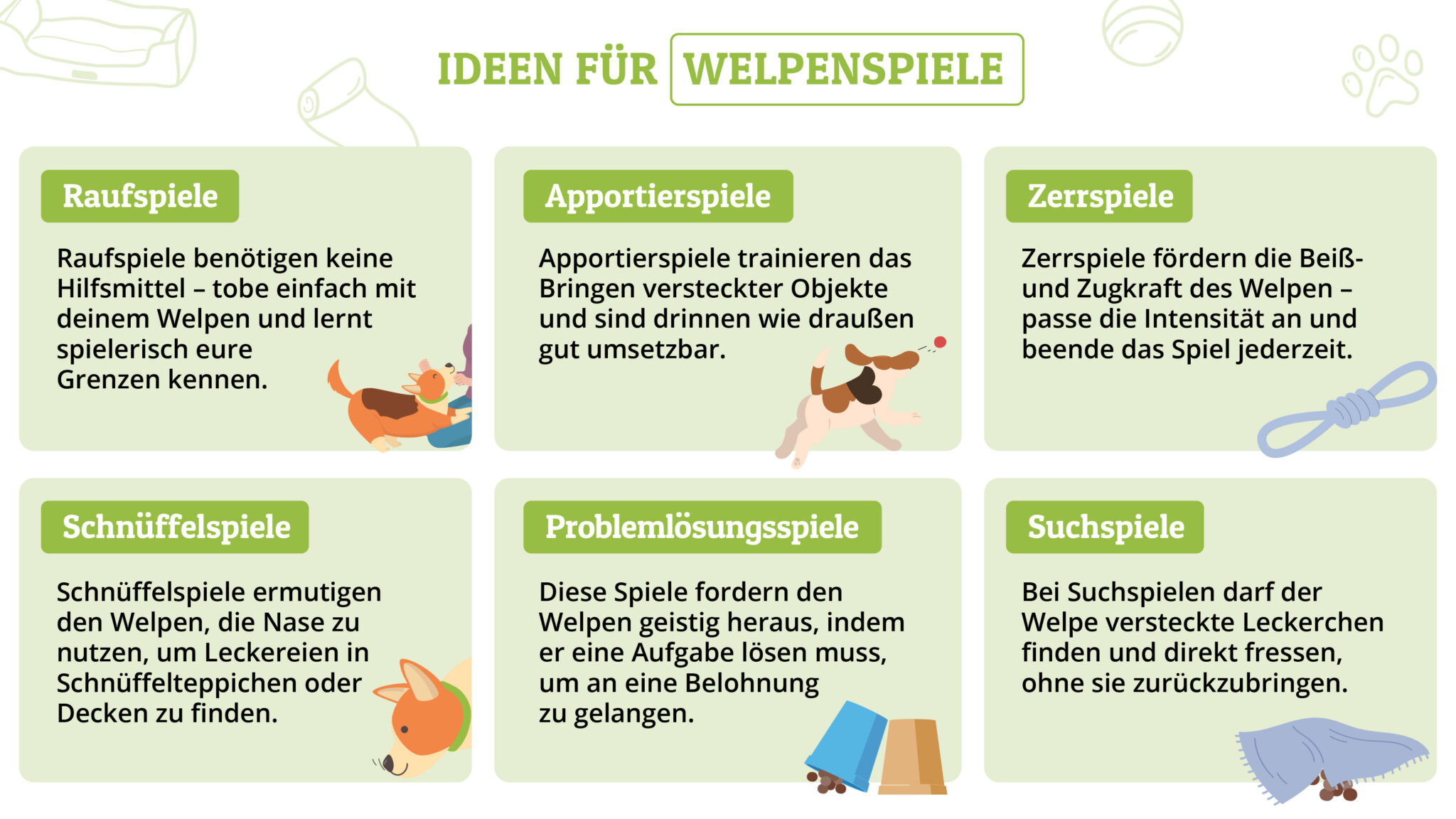 Welpenspiele: Ideen für zu Hause und draußen (mit Video)